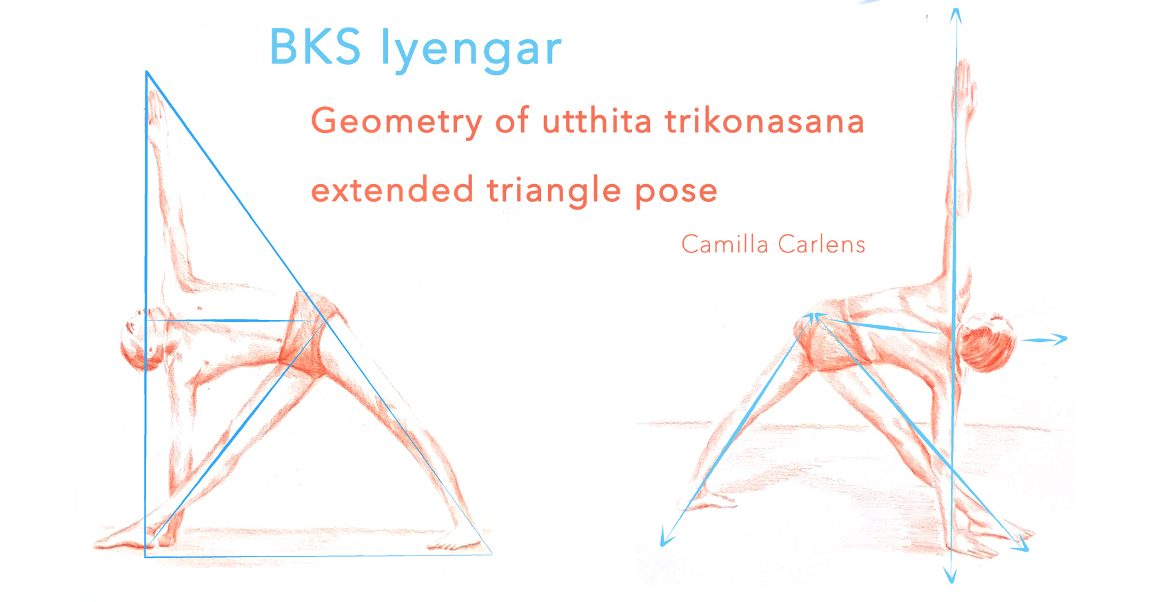 BKS Iyengar – Geometry of utthita trikonasana – Yoga Drawings