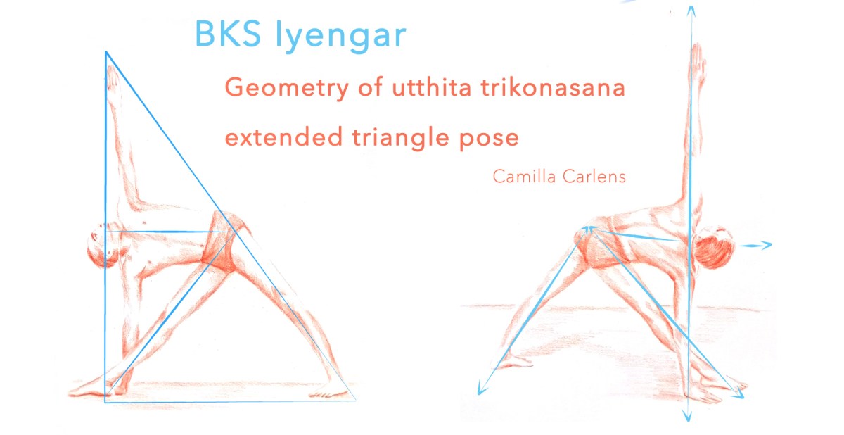 BKS Iyengar – Geometry of utthita trikonasana – Yoga Drawings